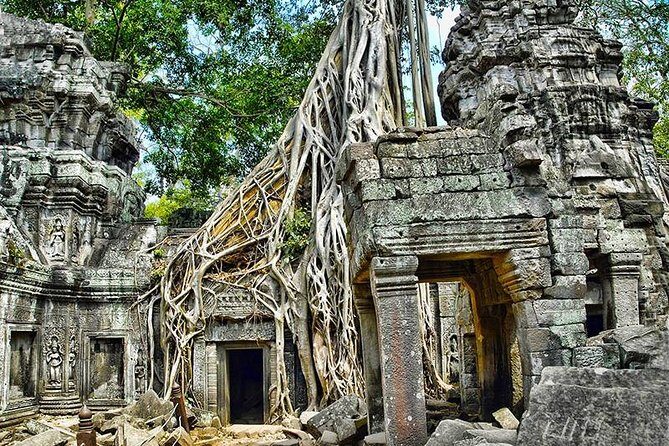 Private Angkor Wat Day Tour - What Travelers Say: Authentic Experiences and Insights