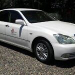 Private Arrival car Transfer: Nadi Airport to Coral Coast Hotels - Why Choose This Transfer Service?