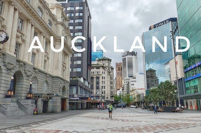 Private Auckland Airport Pick up and Drop off - What to Expect During Your Ride