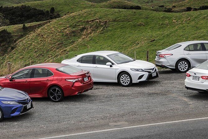 Private Auckland Airport Transfer To/From Auckland Hotels by Car - Who Would Benefit Most?