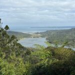 Private Auckland best Spots + Piha beach and rainforest day Tour - Why This Tour Represents Good Value