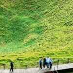 [PRIVATE] Auckland Half Day City Tour - Why This Tour Works