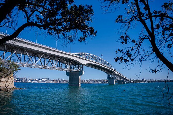 Private Auckland Half Day Tour of Attractions and Museums - What Travelers Say