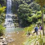 Private Auckland Luxury Tour - The Value of This Tour