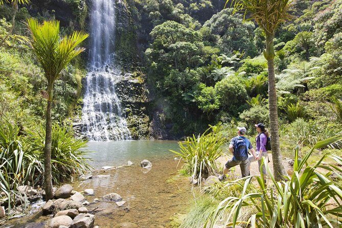 Private Auckland Luxury Tour - The Value of This Tour