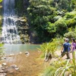 Private Auckland West Coast Day Tour - How the Experience Comes Together