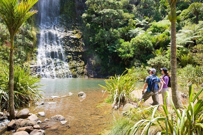 Private Auckland West Coast Day Tour - How the Experience Comes Together