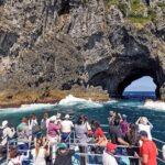 [PRIVATE] Bay of Islands Discovery From Auckland - What Sets This Tour Apart