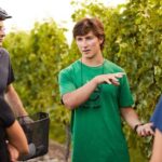 Private Biking Wine Tour (Full Day) Marlborough Region - Day Itinerary Breakdown