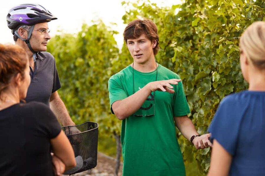 Private Biking Wine Tour (Full Day) Marlborough Region - Day Itinerary Breakdown