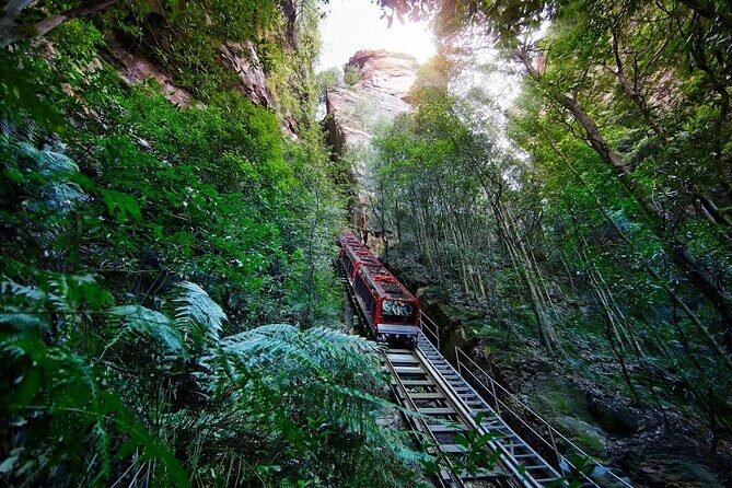 Private Blue Mountains Day Tour  Flexible and Customised - Iconic Views at Echo Point