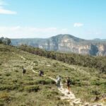 Private Blue Mountains Day Tour | Waterfalls, Koalas & Views - Practical Details and What You Gain