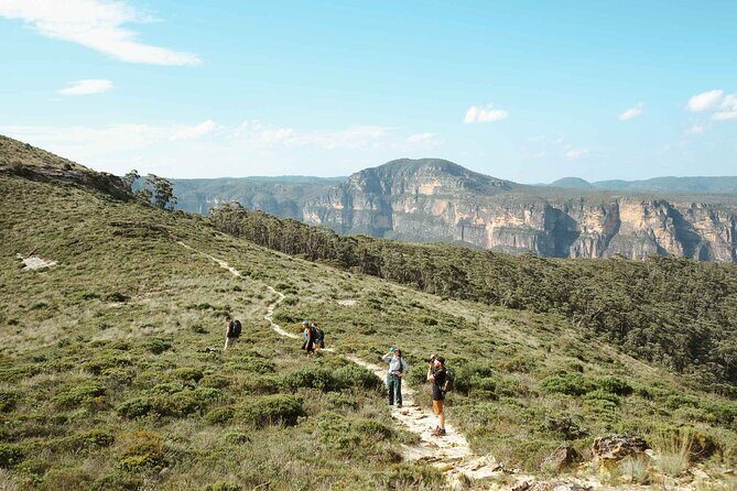 Private Blue Mountains Day Tour | Waterfalls, Koalas & Views - Practical Details and What You Gain