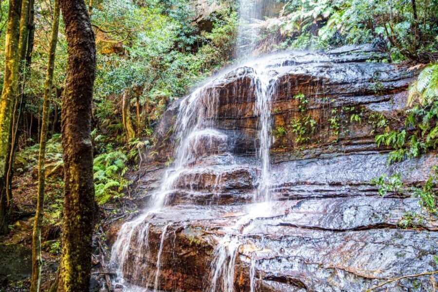 Private Blue Mountains Escape The Crowds Tour - Who Is This Tour Best For?