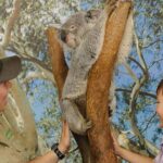 Private Blue Mountains High Country Day Trip from Sydney - The Experience: What Makes It Stand Out