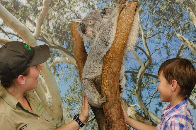 Private Blue Mountains High Country Day Trip from Sydney - The Experience: What Makes It Stand Out