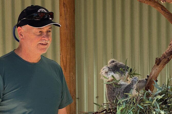 PRIVATE Blue Mountains, Scenic World & Australian Wildlife Tour - What Makes This Tour Stand Out? Key Points to Remember