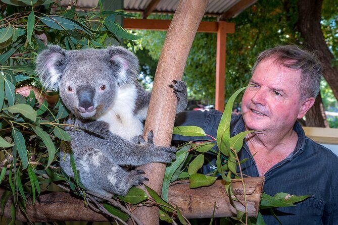 PRIVATE Blue Mountains Wilderness & Wildlife Late Start Tour - Authentic, Off-the-Beaten-Path Experiences