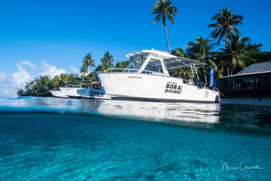 Private Boat for your Romantic Dive in Bora Bora - Who Is This Tour Best For?