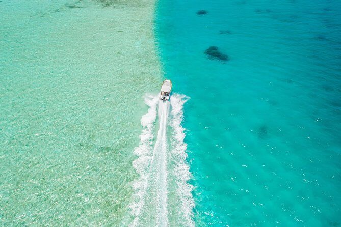 Private Boat Rental on Cap Camarat 17ft - What to Expect on Your Bora Bora Private Boat Tour