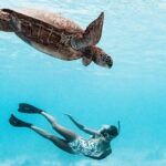 Private Boat Tour of Moorea Lagoon - An In-Depth Look at the Moorea Lagoon Private Boat Experience