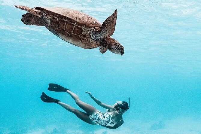 Private Boat Tour of Moorea Lagoon - An In-Depth Look at the Moorea Lagoon Private Boat Experience