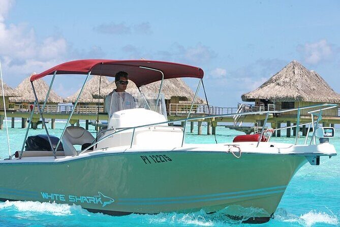 Private Bora Bora Lagoon Experience - What to Expect During Your Bora Bora Lagoon Adventure