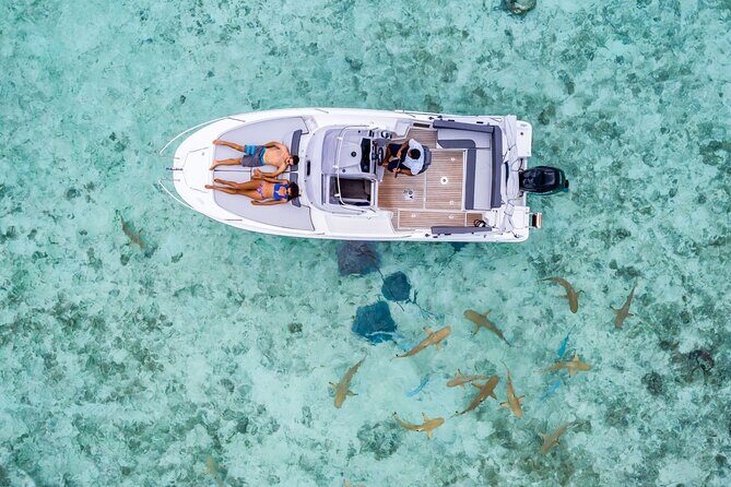 Private Bora Bora Snorkeling Cruise with Optional Vegetarian Lunch on the Beach - Why This Tour Offers Great Value