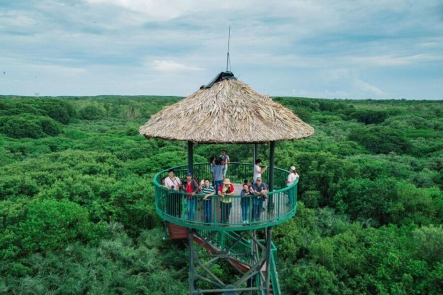 Private Can Gio Mangrove Biosphere Reserve 1 Day Tour - Who This Tour Is Best For
