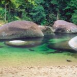 Private Cape Tribulation & Mossman Gorge Day Tour - An In-Depth Look at the Tour