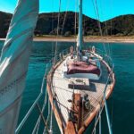 Private Charter Bay of Islands - The Itinerary: What to Expect