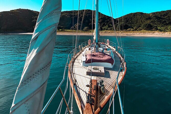 Private Charter Bay of Islands - The Itinerary: What to Expect