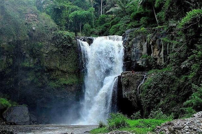Private Chartered Car to Ubud Villages and Tanah Lot - Who Should Consider This Tour?