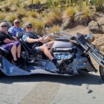 Private Cruise Ship Passengers Tour, Sightseeing in Christchurch - Authenticity and Value