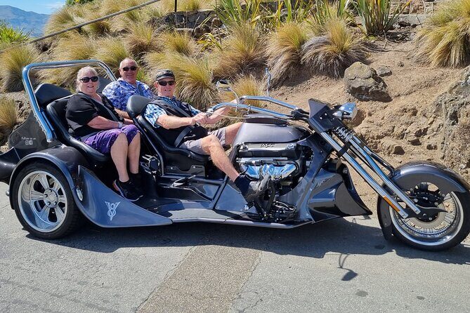 Private Cruise Ship Passengers Tour, Sightseeing in Christchurch - Authenticity and Value