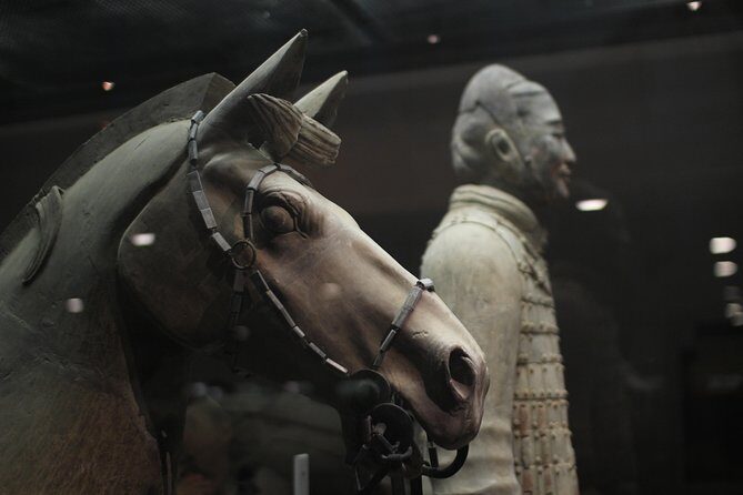 Private Customized Day Tour in Xi'an With a Local Insider - The Value of a Private, Tailored Experience