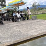 Private Customized Yarra Valley Wine Tour - The Value of a Private, Customized Experience