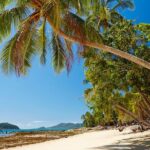 Private Daintree Wanderer Tour - Who Should Consider This Tour?