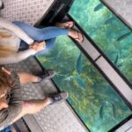 Private Day Tour of Cathedral Cove, Zipline and Glass Bottom Boat - What Past Travelers Say