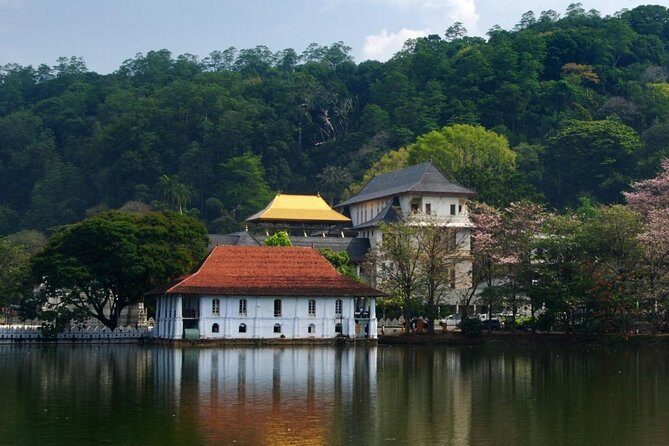 Private Day Tour To Kandy From Wadduwa - Exploring the Itinerary in Detail
