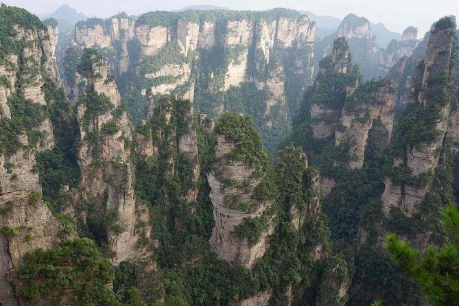 Private Day Trip: Zhangjiajie National Forest Park And Tianzi Mountain - Riding the Bailong Elevator: A Highlight in Itself