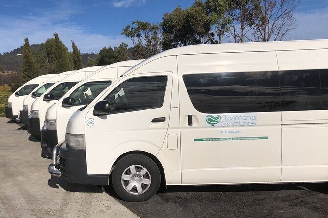 Private Day Trips Bay of Fire From Launceston - Who Will Love This Tour?