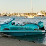 Private Dolce Vita Skippered Guided Tour - Who Will Love This Tour?