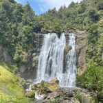 Private Driver Hire  Full-Day Touring Anywhere in New Zealand - Who Will Love This Service?