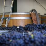 Private Driving Wine Tour (full day) in the Marlborough Region - Final Thoughts