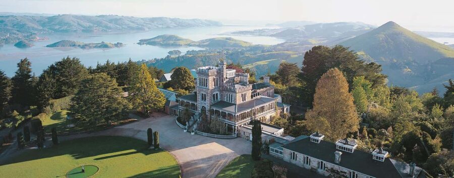 Private Dunedin City Highlights and Otago Peninsula Day Tour - What to Expect on the Tour