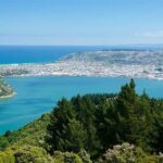 Private Dunedin & Otago Peninsula Day Tour Up to 4 - What the Tour Includes and What to Keep in Mind