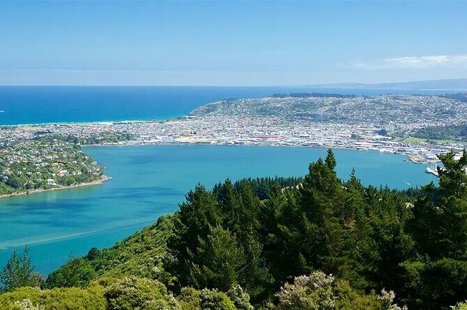 Private Dunedin & Otago Peninsula Day Tour Up to 4 - What the Tour Includes and What to Keep in Mind