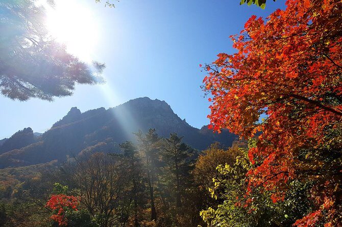 Private English Speaking Driver: Seoraksan & East Sea or Nami Island from Seoul - The Sum Up: Who Is This Tour For?