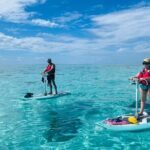 Private Excursion with E-Board in Moorea with snorkeling - Final Thoughts